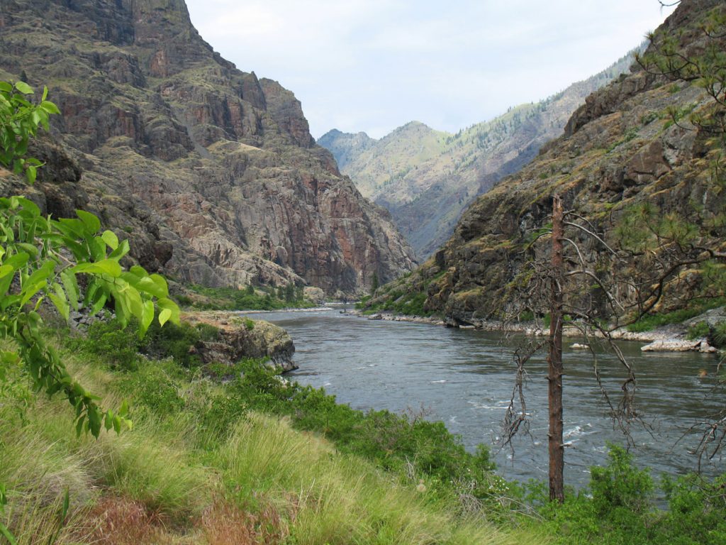 June is an Amazing Time on the Byway – Hells Canyon Scenic Byway